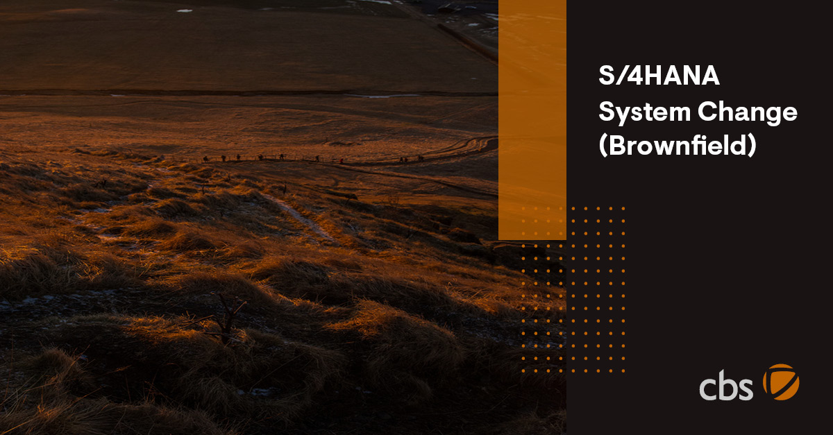 Sap S4hana Brownfield Conversion Sap S4hana System Conversion Brownfield